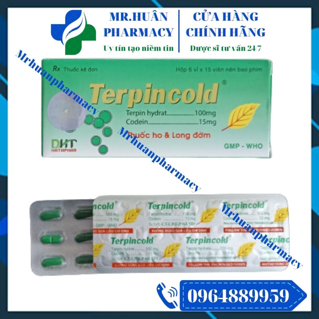 Terpincold (Hộp 6 vỉ x 15 viên) – Thuốc điều trị ho & long đờm – MrHuân ...