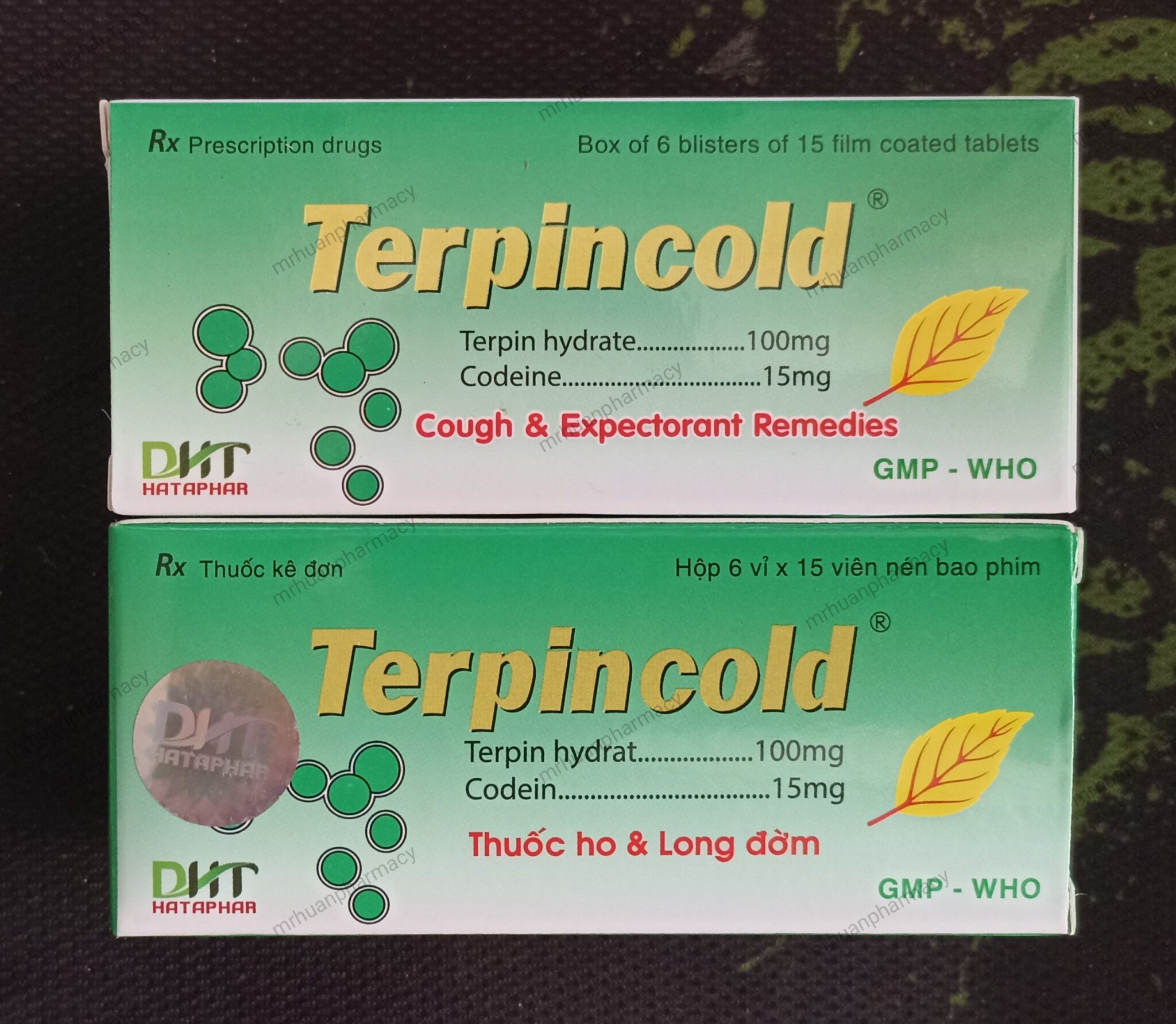 Terpincold (Hộp 6 vỉ x 15 viên) – Thuốc điều trị ho & long đờm – MrHuân ...